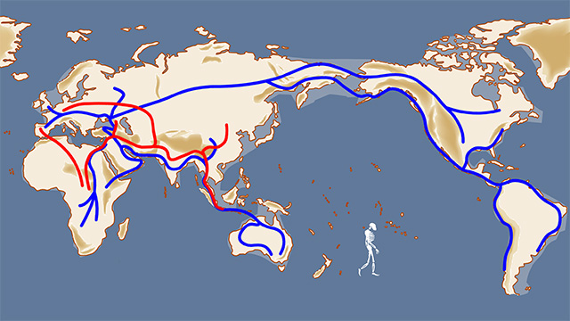 Educator Training - CSHL DNA Learning Center